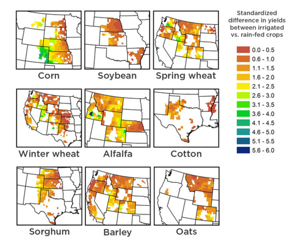 Gap Growing Between Irrigated, Rainfed Crop Yields | CropWatch | Nebraska