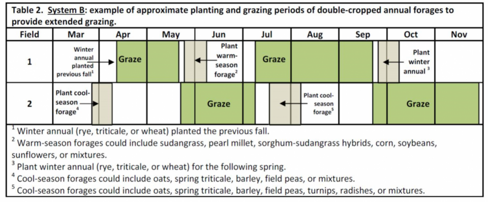 Planning Annual Forage Systems | CropWatch | Nebraska