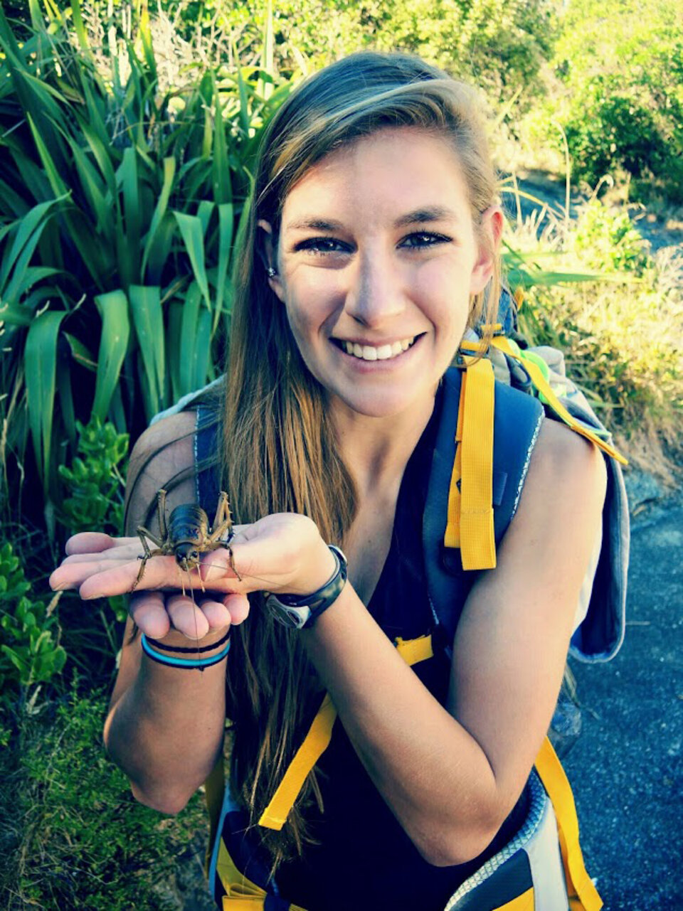 Student Research: Potential Benefits of Sorghum-Sudangrass as a Companion Crop to Establish ...