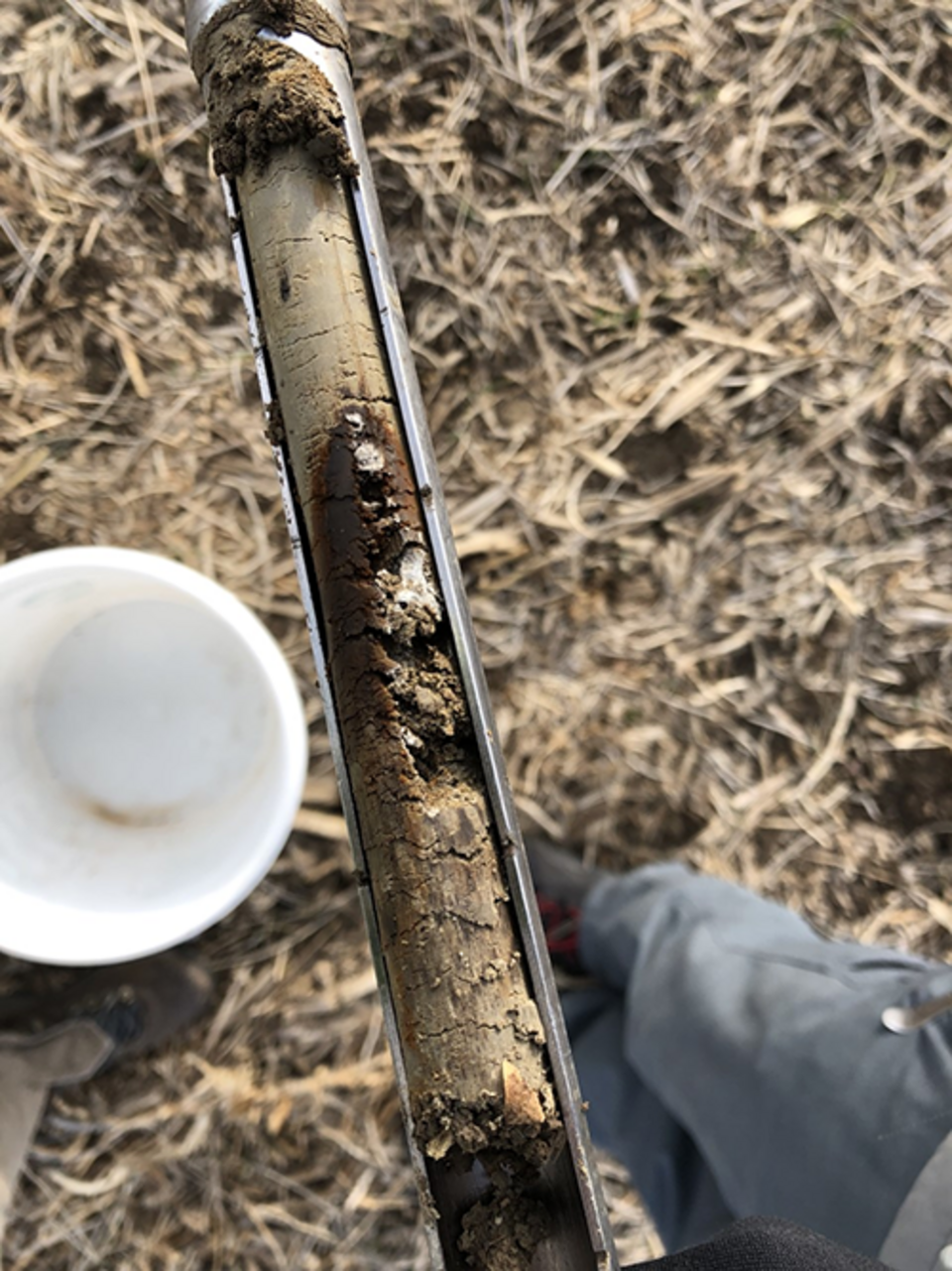 Soil Sampling for Better Fertilization Decisions | CropWatch | Nebraska