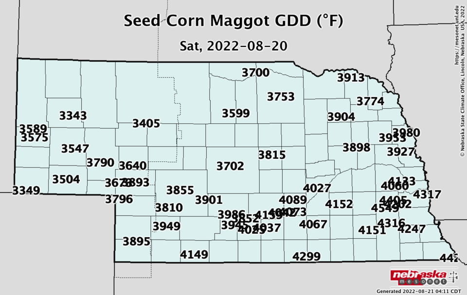 Avoiding Injury from Seed Corn Maggot | CropWatch | Nebraska